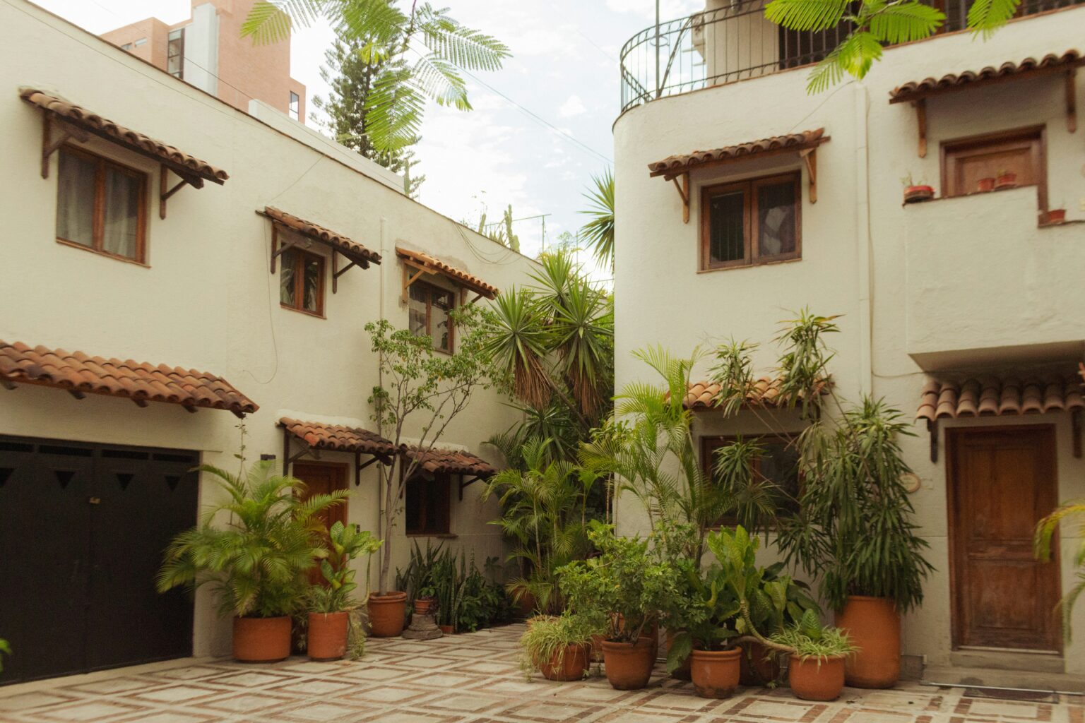 avó in Portuguese: Meaning, Usage and Examples | PortugueseLearn.com